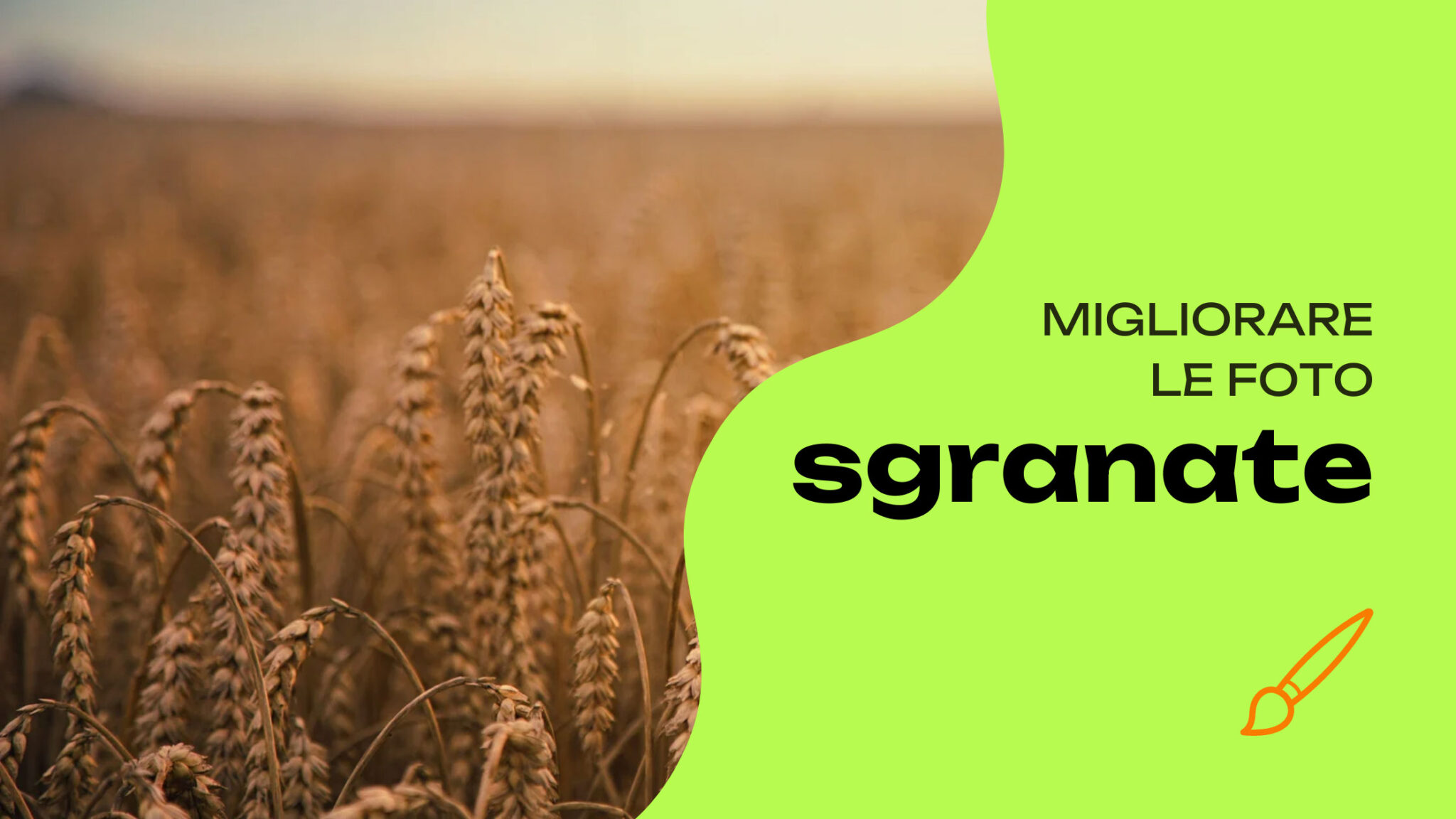 Come migliorare una foto sgranata in un capolavoro: 5 facili consigli ...